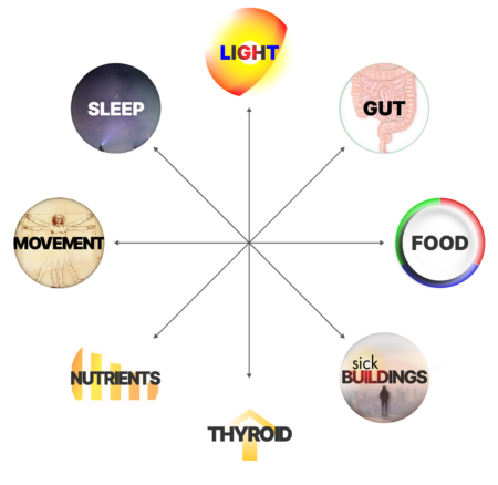 Travis Burch | What You Need To Know